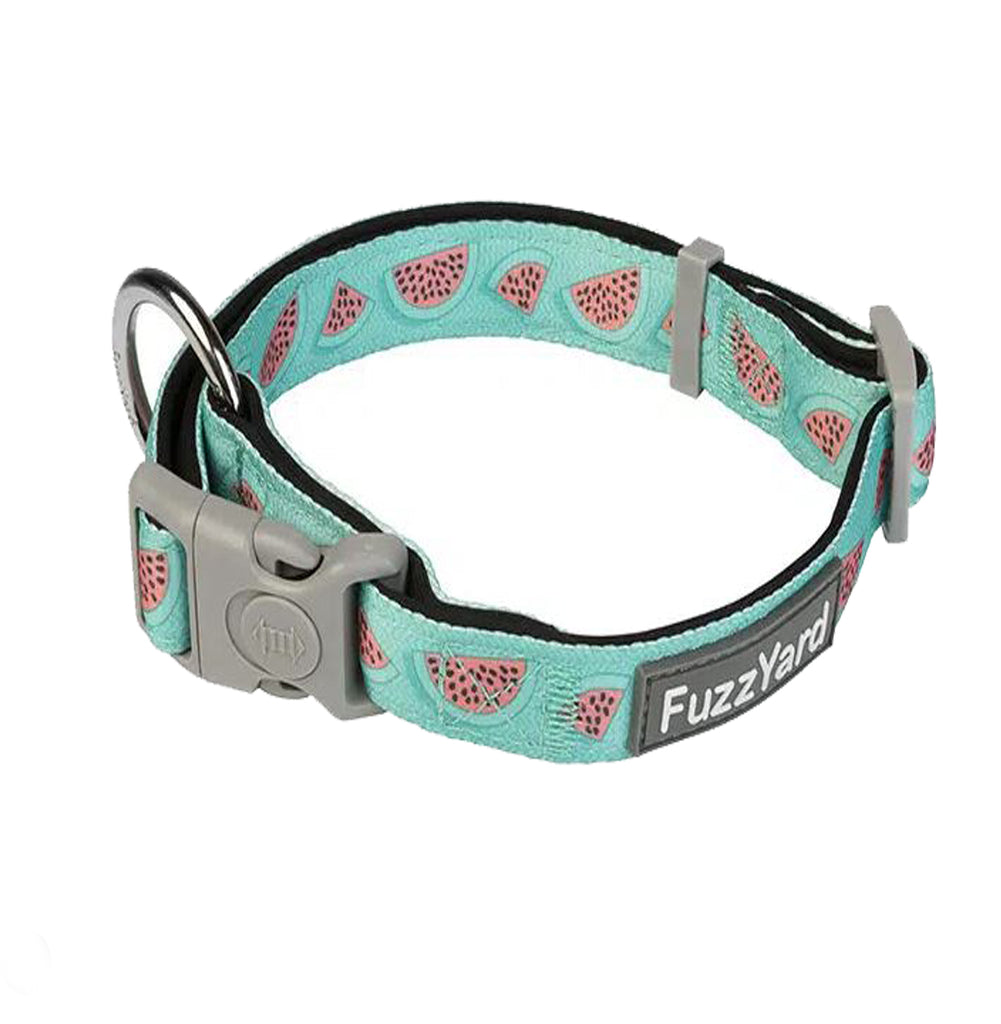 FuzzYard Dog Collar Summer Punch | PETZONAS