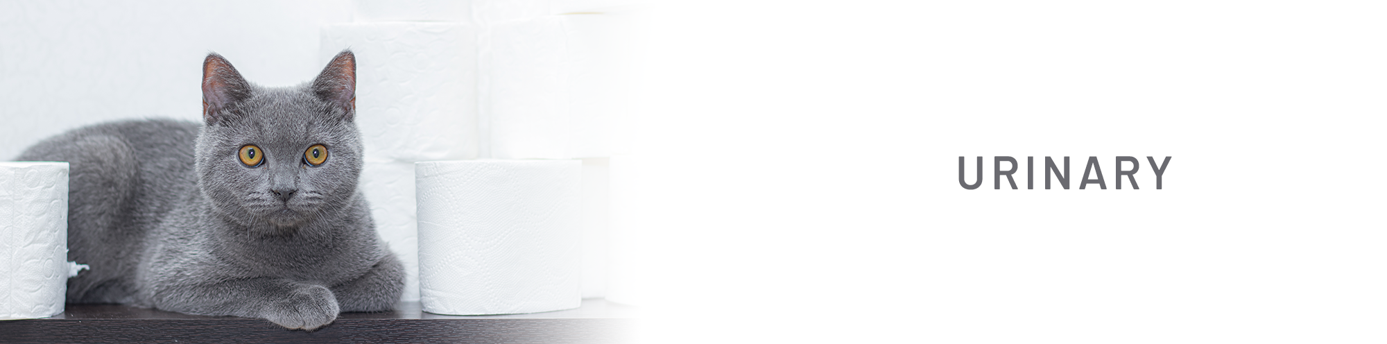 Gatos Urinary – PETZONAS
