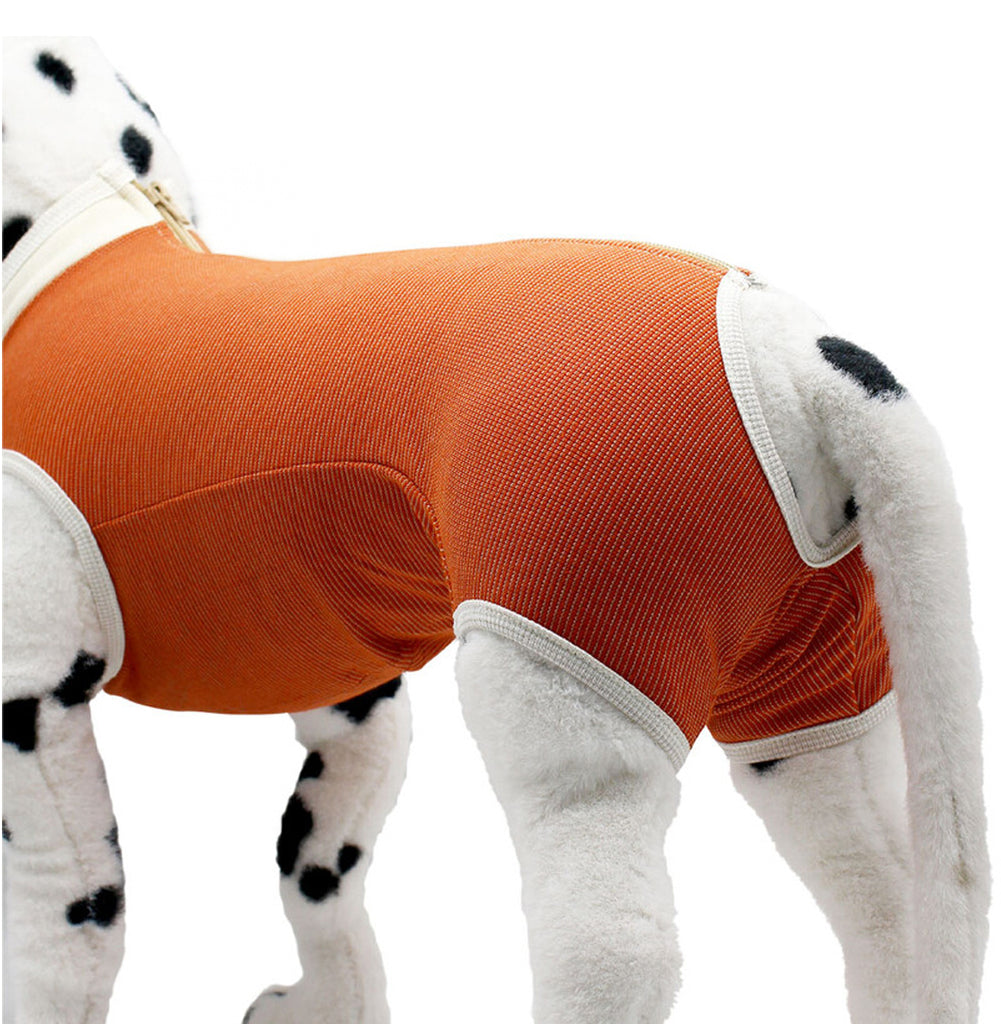Body Cobre Tradicional | PETZONAS